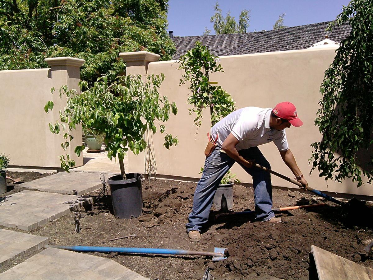 Blog Picture | Earthtones Landscape