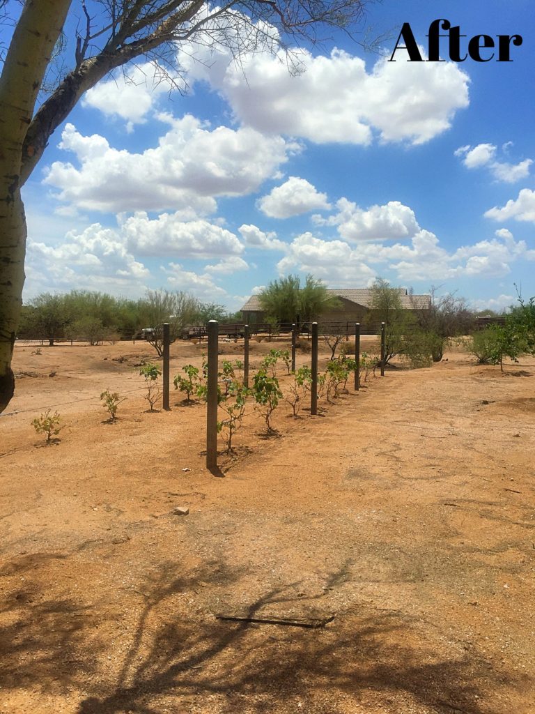 image4 | Earthtones Landscape